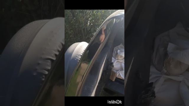 Машина.НиваТревел.Обзор от покупки до...Фильм21.Серия4