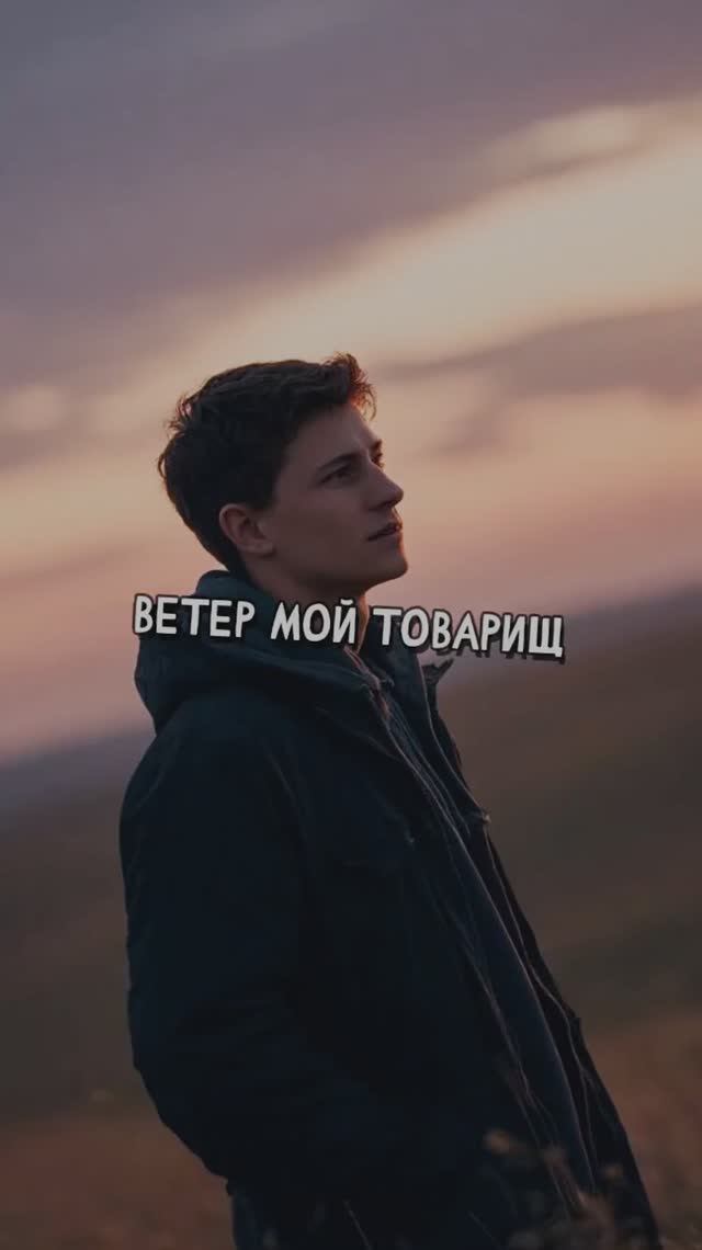 Ветер мой товарищ