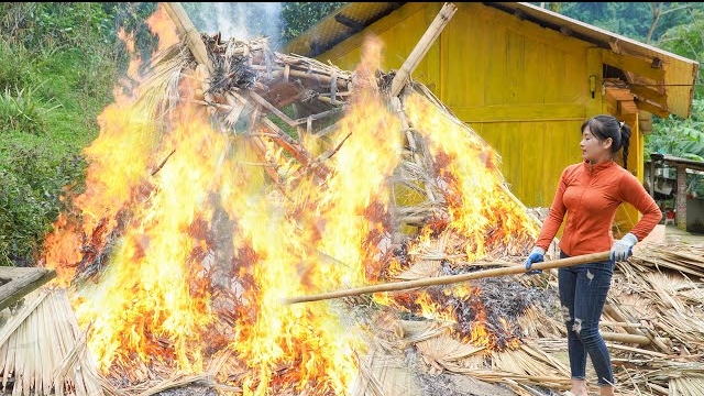 Сожгла хижину и множество поваленных деревьев. Уборка фермы после сильного шторма. Нхат. Вьетнам