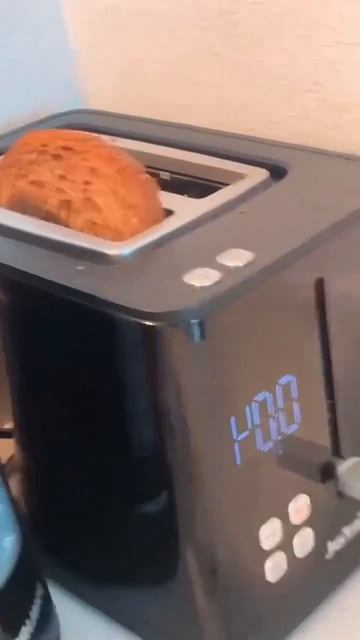 Приколы с кошками.