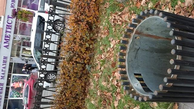 №862 Комсомольский проспект. 11 октября 2025 г., 15:10:50 VID_20251011_151044341