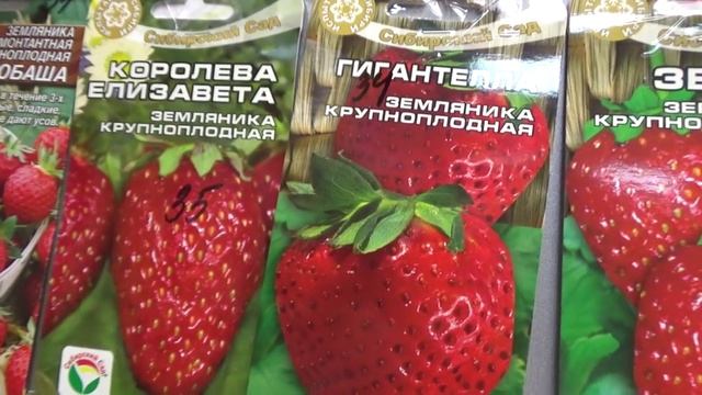 2160.  ВПЛ.Скоро сеять ягодку.