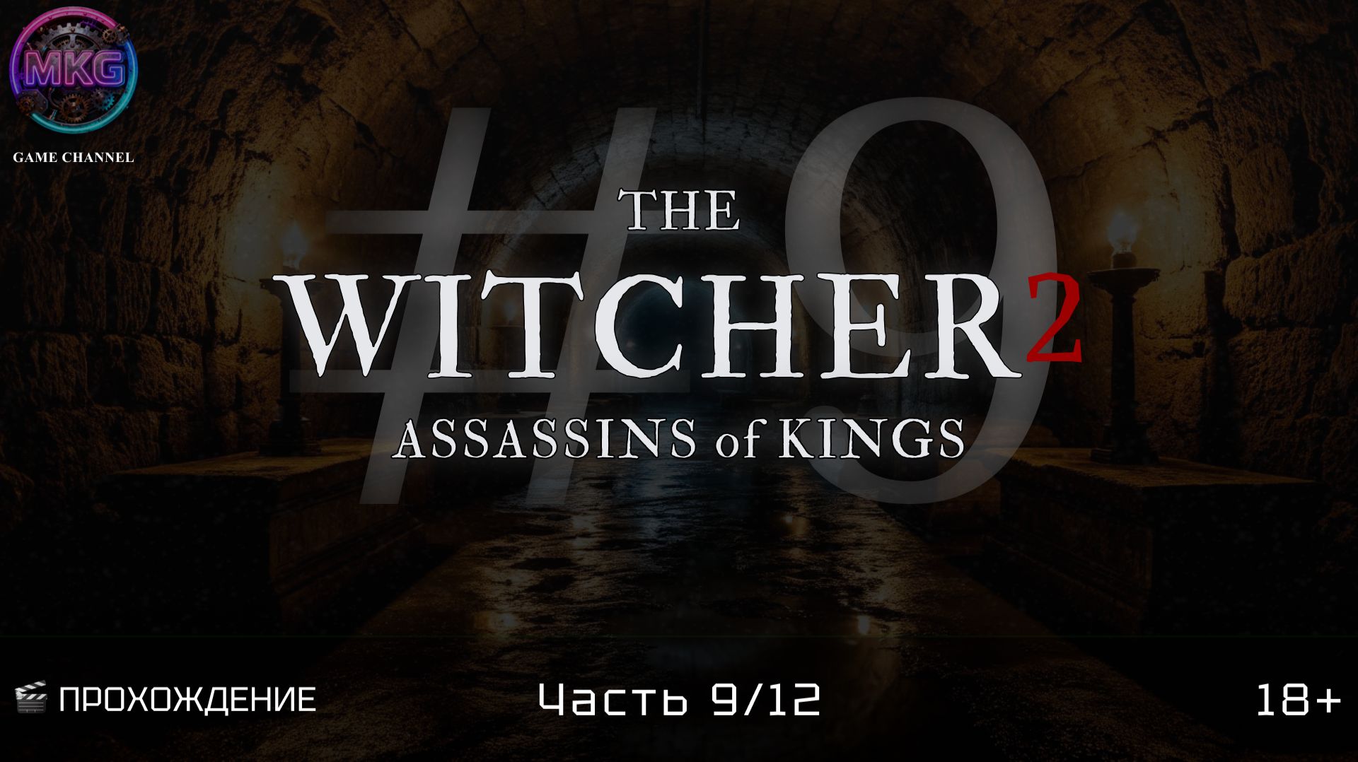 #9 The Witcher 2: Assassins of Kings [Прохождение] [Без комментариев]