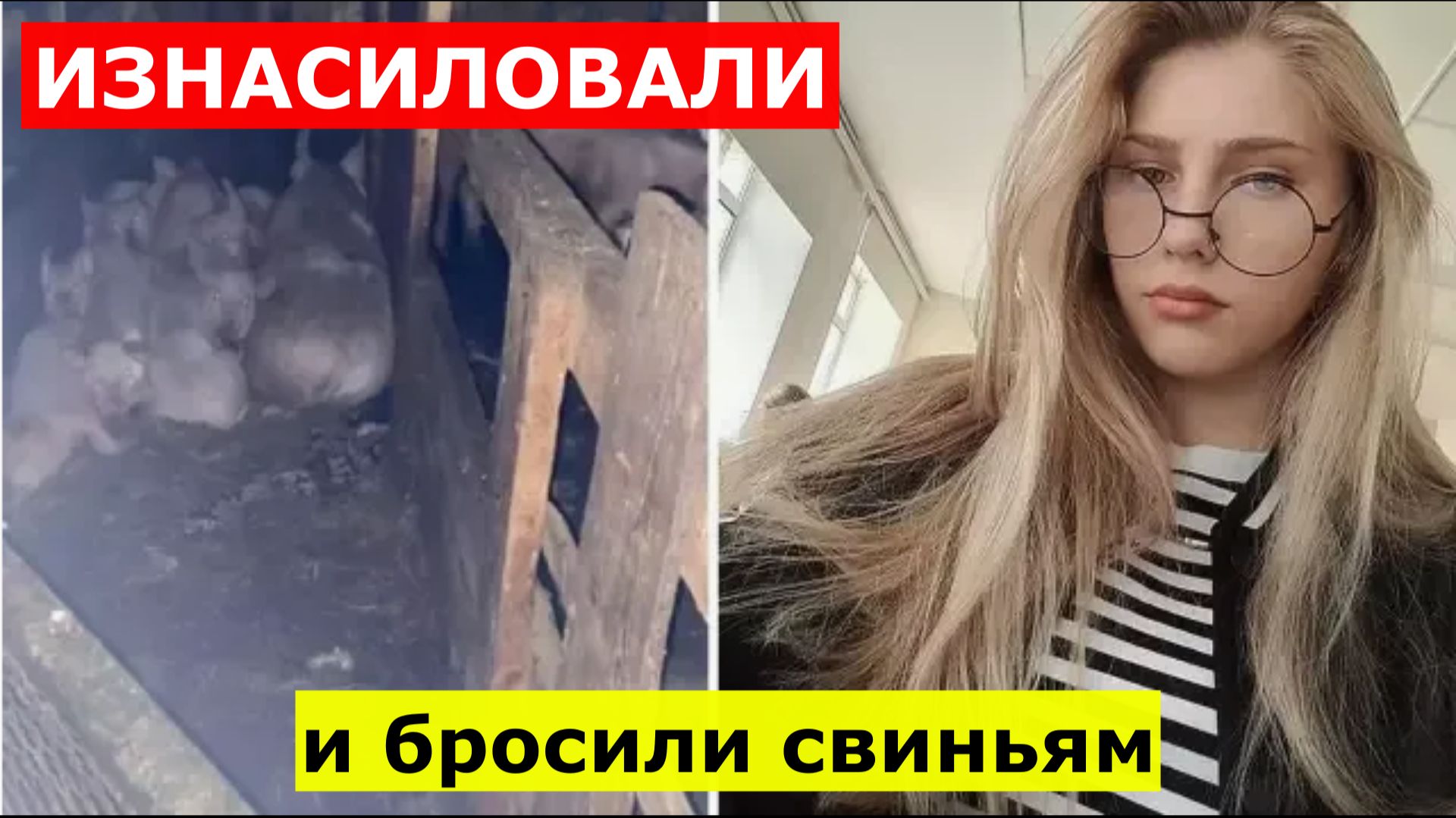 ТЕЛО ШКОЛЬНИЦЫ НАШЛИ ЗАЖИВО СЪЕДЕННОЙ В СОБСТВЕННОМ ДОМЕ - Дело Милены Шевелевой из Красноярска