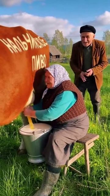 ПИВНАЯ КОРОВА