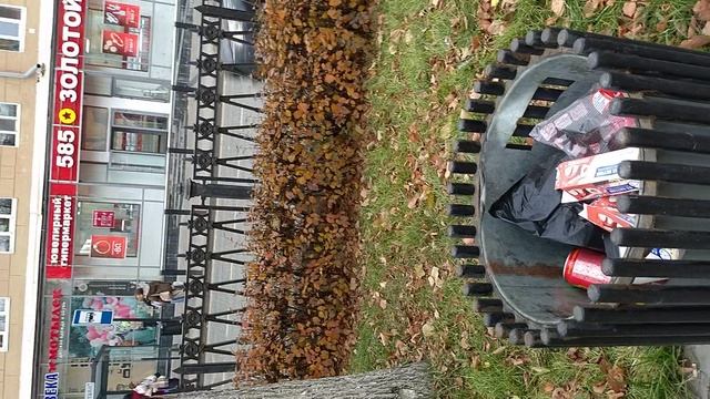 №868 Комсомольский проспект. 11 октября 2025 г., 15:12:57 VID_20251011_151251708