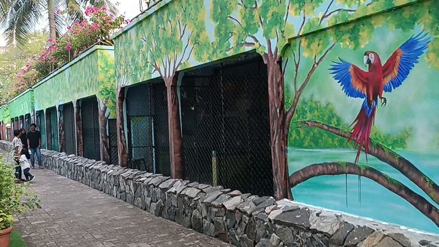 Парк Кудакудинге Багичаа, Мале, Мальдивы, январь'26 (Kudakudhinge Bageechaa Park, Male, Maldives)