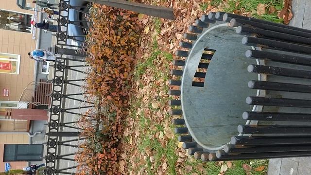 №866 Комсомольский проспект. 11 октября 2025 г., 15:12:15 VID_20251011_151209409