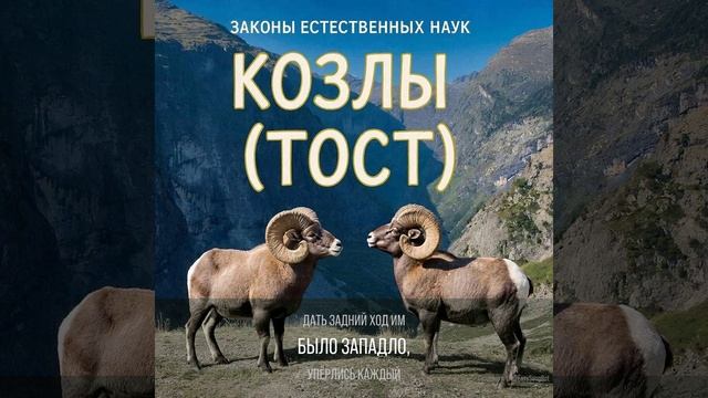 Козлы (тост)