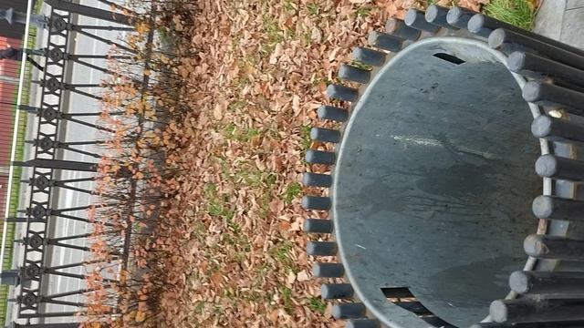 №867 Комсомольский проспект. 11 октября 2025 г., 15:12:37 VID_20251011_151230160