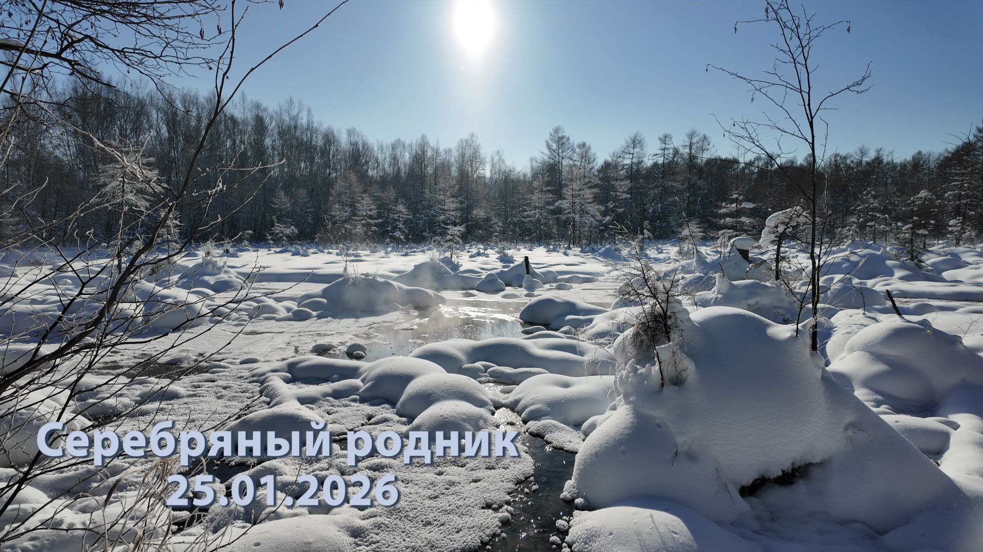 Серебряный родник 25.01.2026