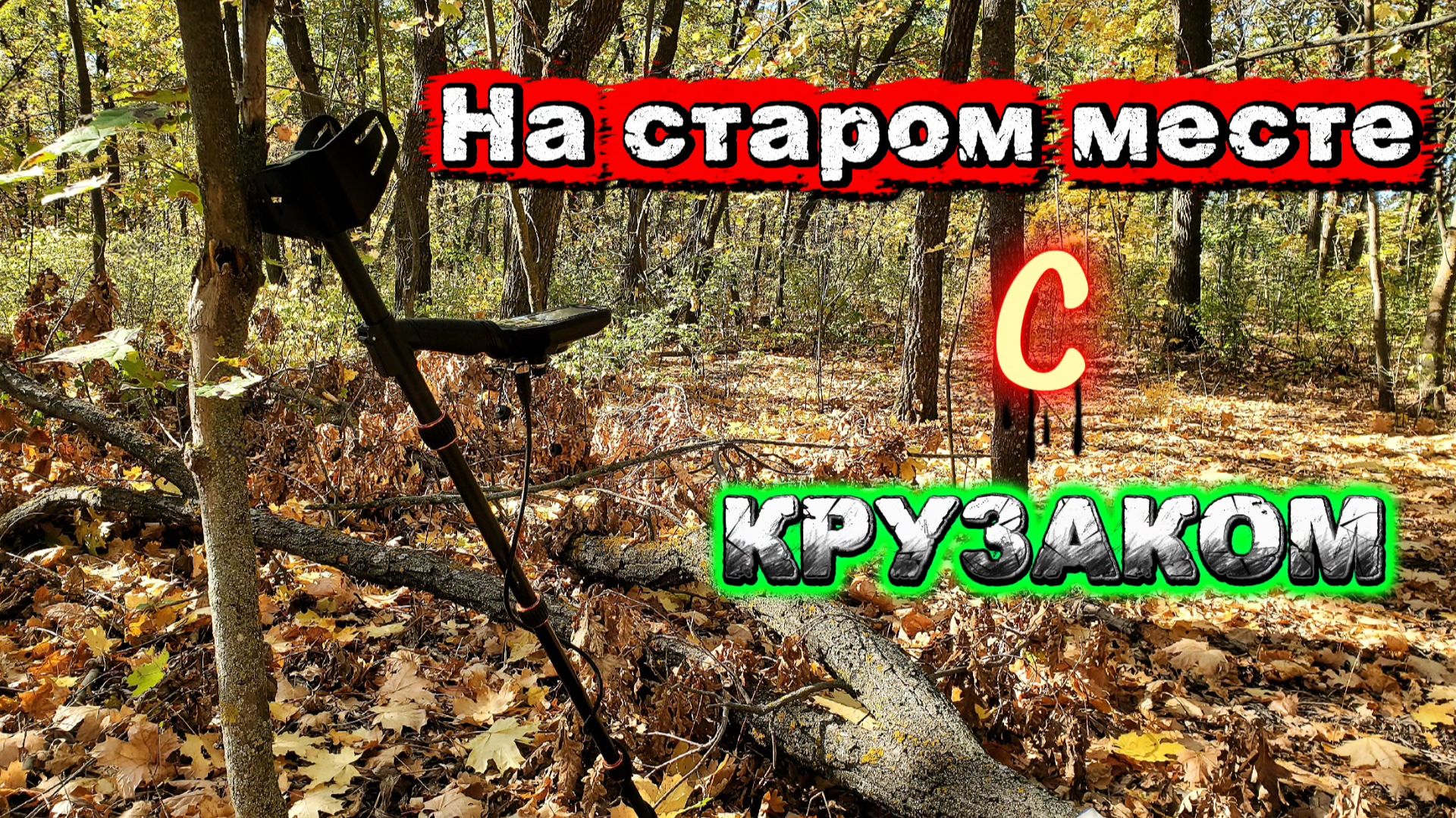 Вернулся на старое место с металлоискателем Skycruiser S63 за монетами.