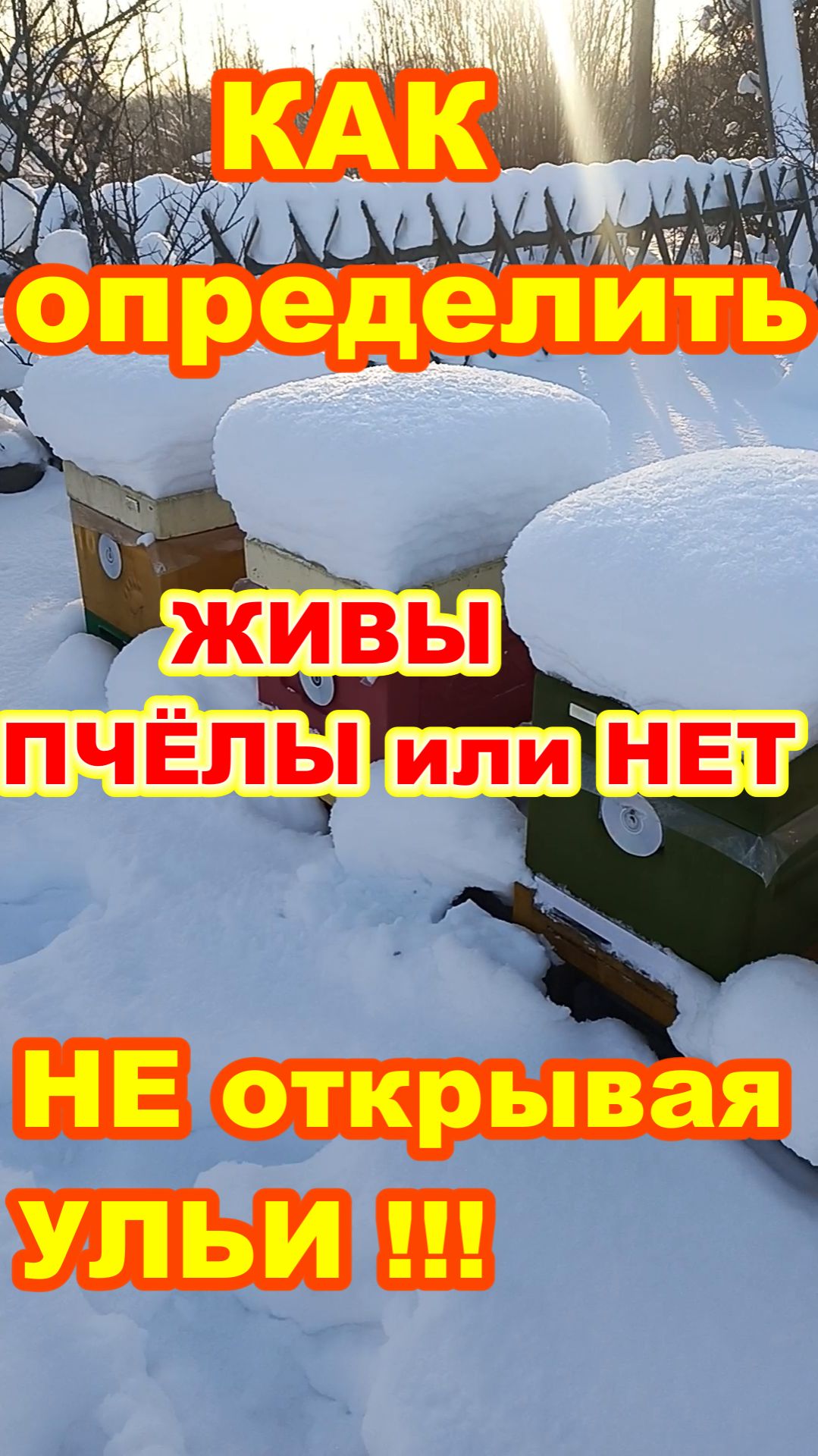 КАК определить ЖИВЫ ПЧЁЛЫ или НЕТ в УЛЬЯХ  ППС и ППУ не ОТКРЫВАЯ УЛЬИ !