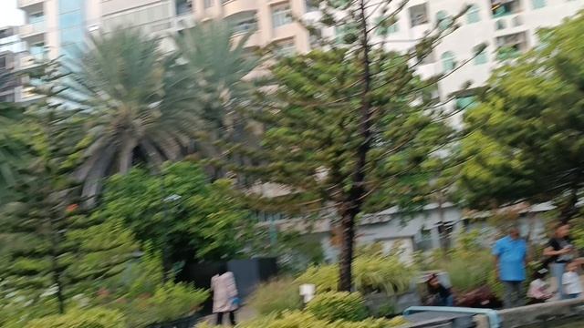 Парк Кудакудинге Багичаа, Мале, Мальдивы, январь'26 (Kudakudhinge Bageechaa Park, Male, Maldives)