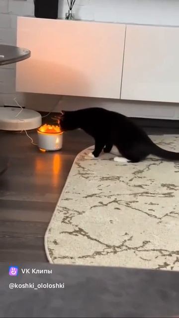 ужас как странно