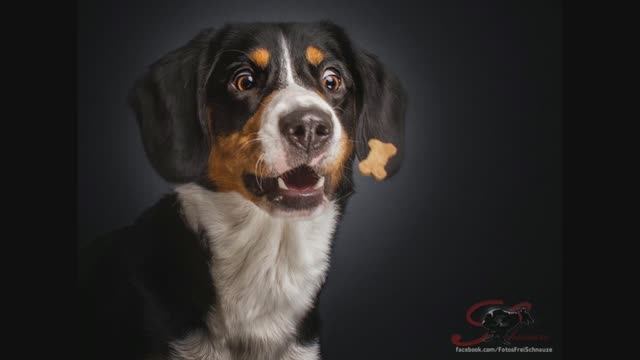 Знакомство с творчеством  Christian Vieler