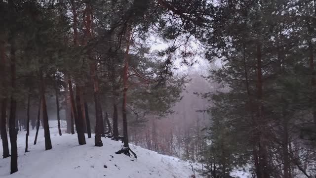 Психология отношения к финансам. Немного о финансовой грамотности