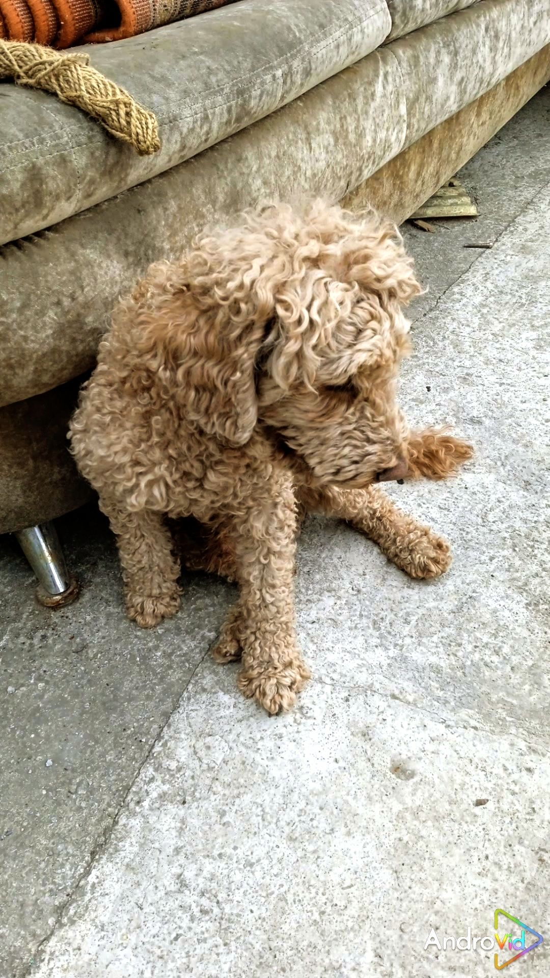 Их нет, но мы, помним!❤️ Мгновения жизни.  25-01-2026