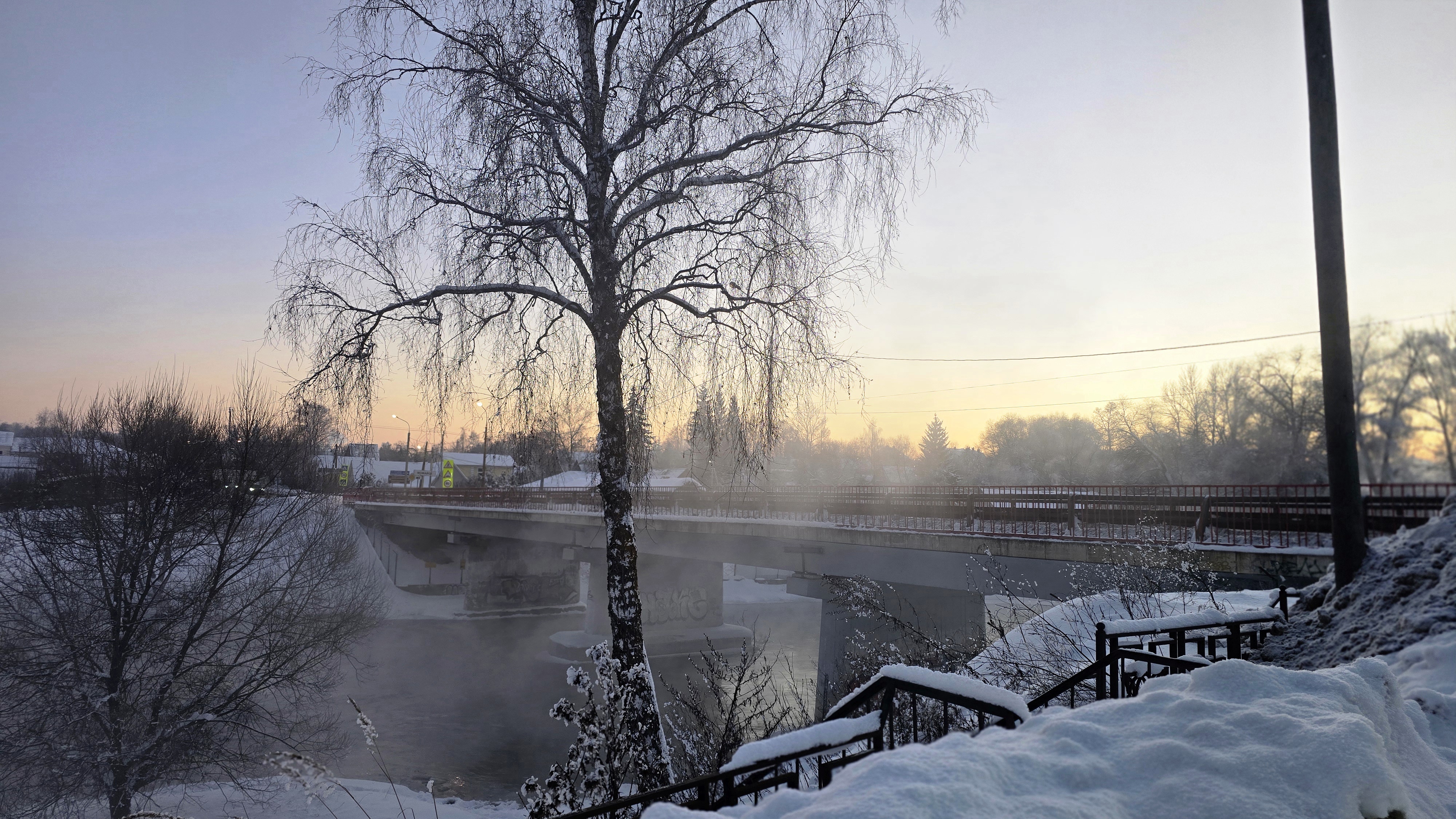 Утки на Москве реке