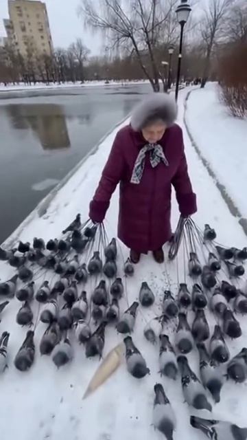 Нейросеть видео