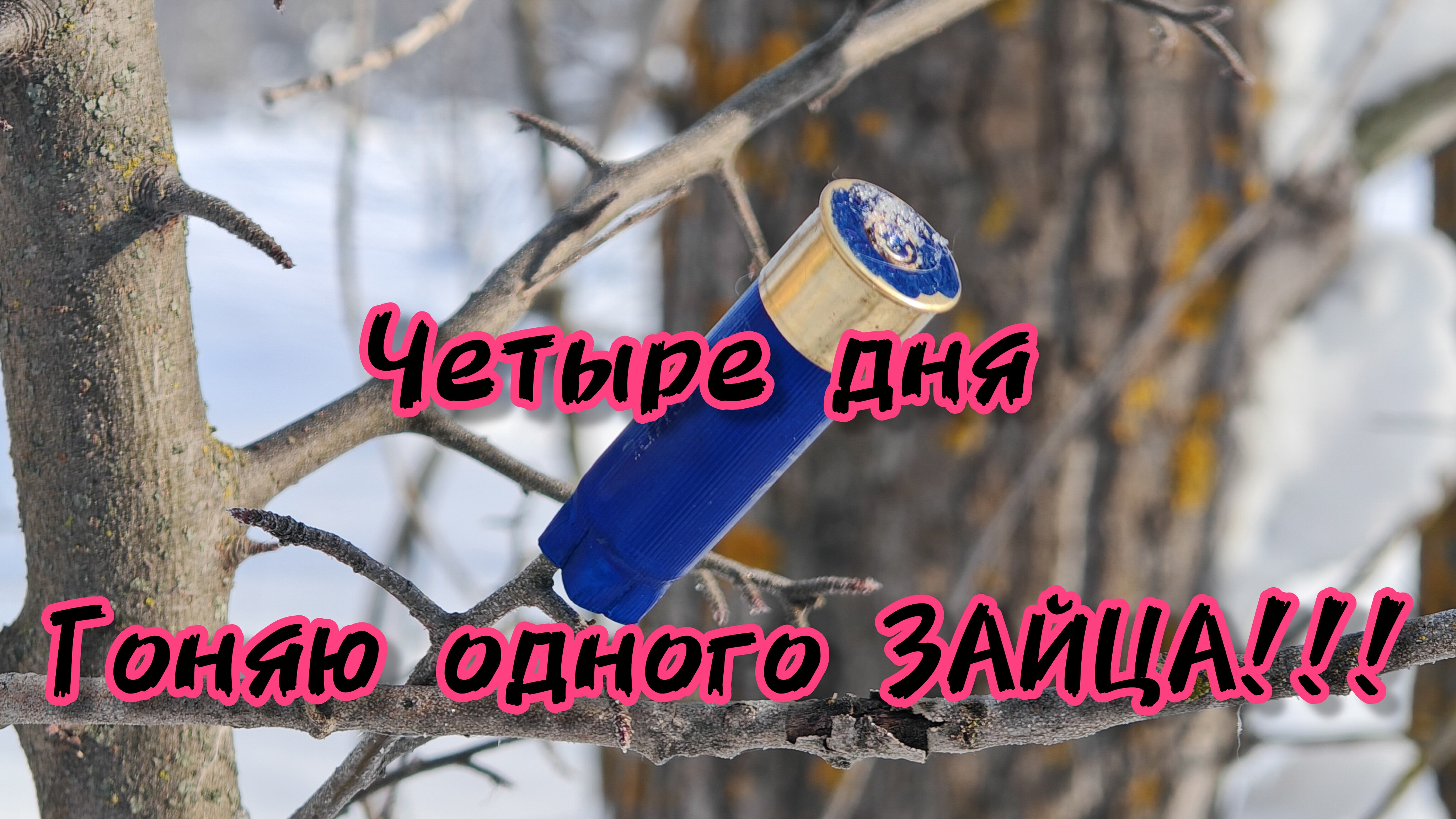 261-Четыре дня гоняю одного ЗАЙЦА!