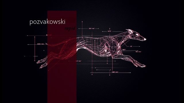 Pozvakowski - Orbital Breakneck