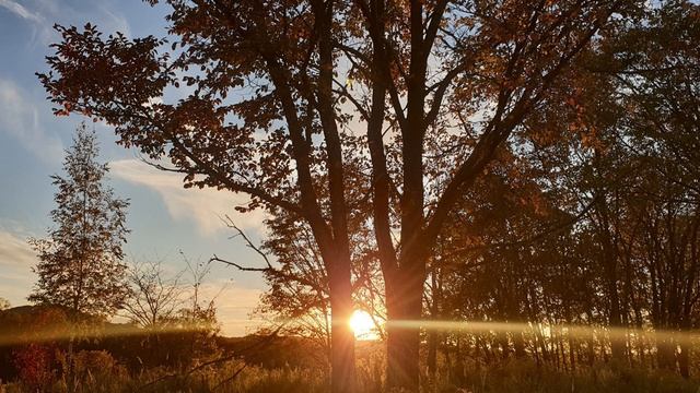 ЧУДЕСНЫЙ БАЛ