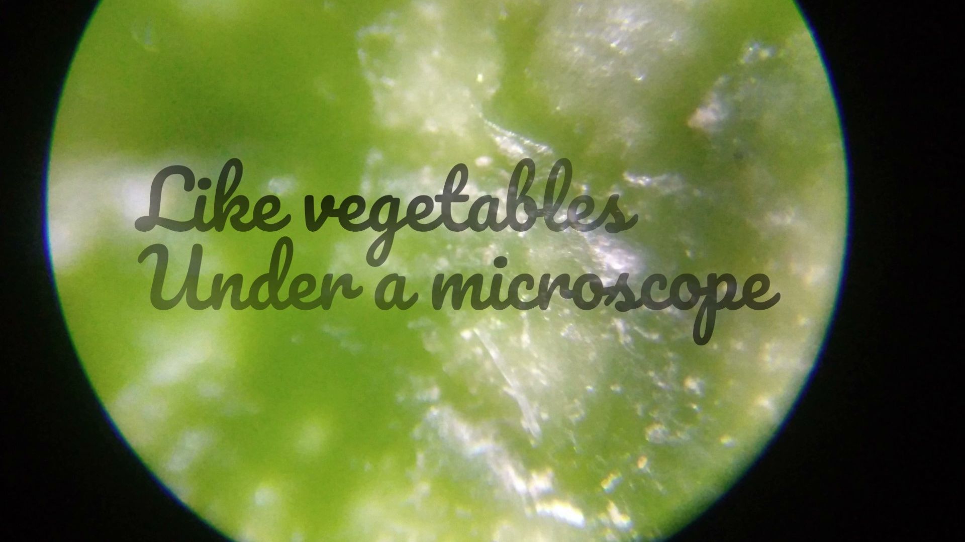 Like vegetables under a microscope