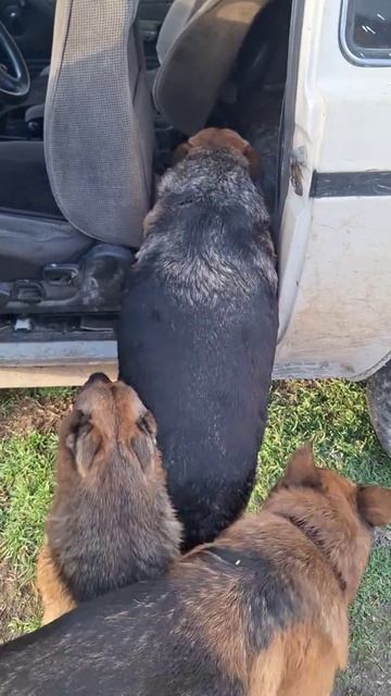 Господа, загружаемся