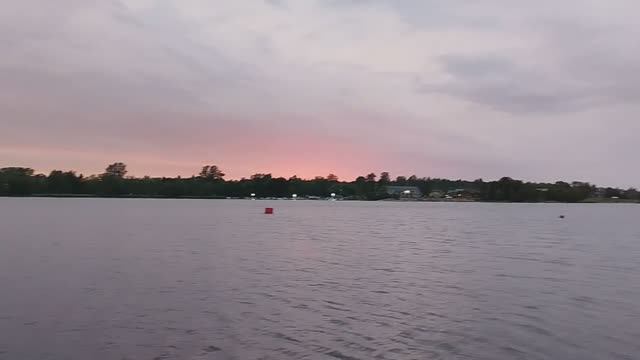 Выборгский залив, июнь, 2025