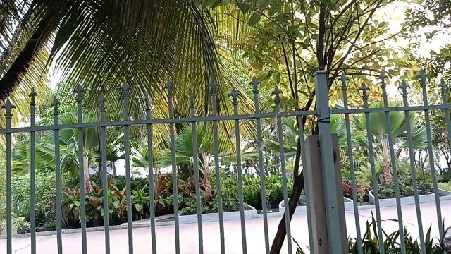 Парк Кудакудинге Багичаа, Мале, Мальдивы, январь'26 (Kudakudhinge Bageechaa Park, Male, Maldives)