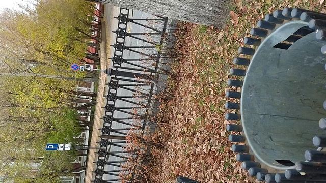 №871 Комсомольский проспект. 11 октября 2025 г., 15:14:10 VID_20251011_151401838