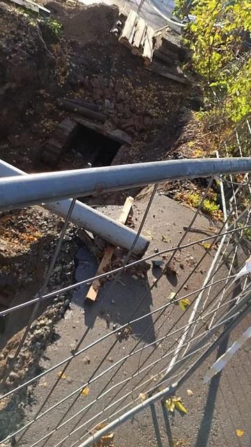 №901 ул. Полины Осипенко. 16 октября 2025 г., 10:12:14 VID_20251016_101104442