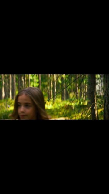 Маша и медведи (10)