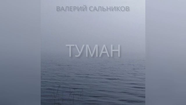 Валерий Сальников - Туман