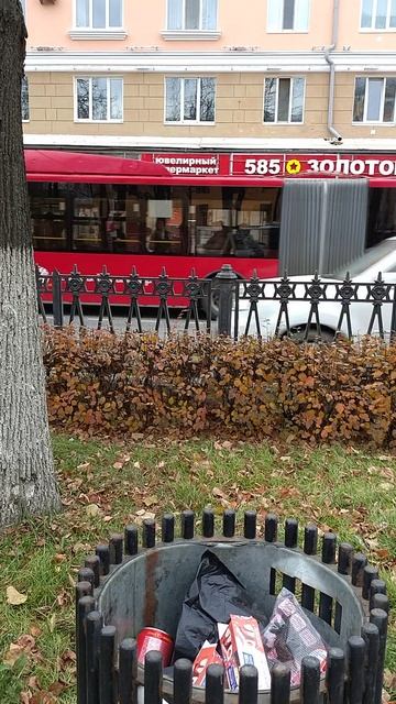 №869 Комсомольский проспект. 11 октября 2025 г., 15:12:59 VID_20251011_151257797