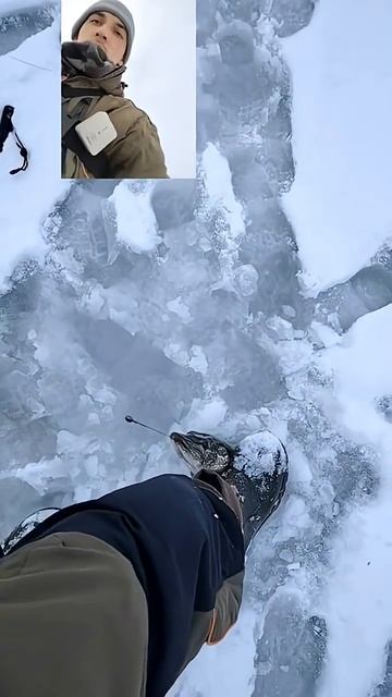 Щуки 2026. Рыбалка на жерлицы