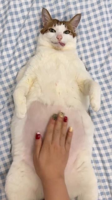 Понедельник вставай на работу