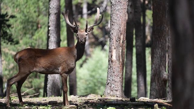 Урок 1 Постановка проблемы