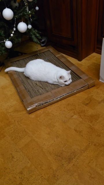 Милка играет и ёлка падает в обморок