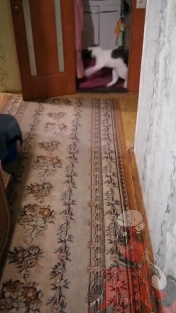 Когда Мурзик узнал что Дядя Пулъ едет домой 😼🫶🤯