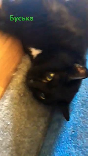 30 апреля 2024 г [get.gt]