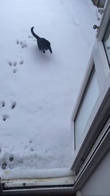 Плодотворная прогулка