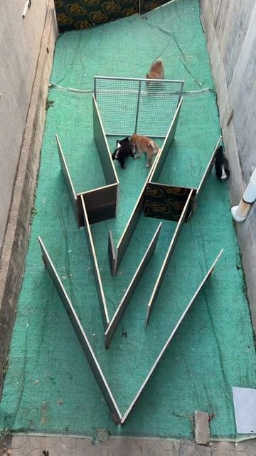 Квест на сообразительность...