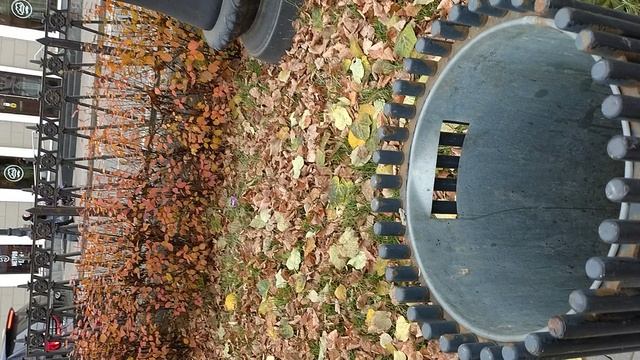 №874 Комсомольский проспект. 11 октября 2025 г., 15:15:15 VID_20251011_151509527