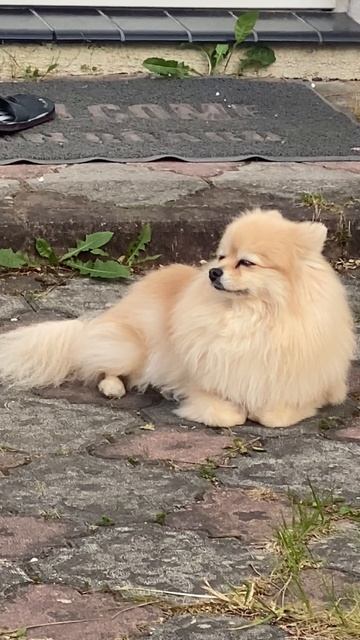 4 июня 2024 года Саня