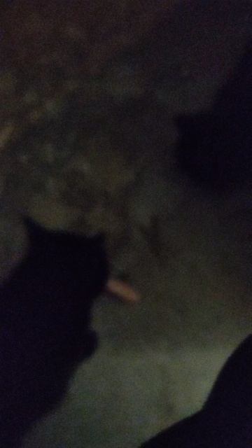 PXL_20260126_064952203