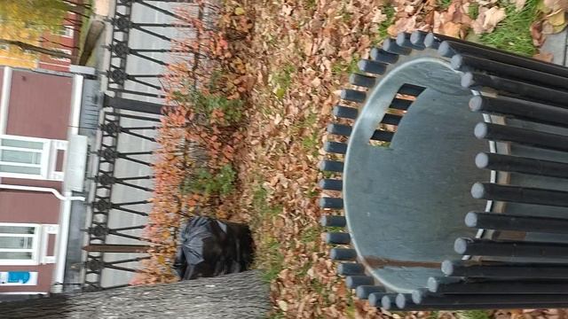 VID_20251011_151447144