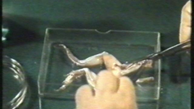 03 Приготовление нервно-мышечного препарата лягушки (9мин)