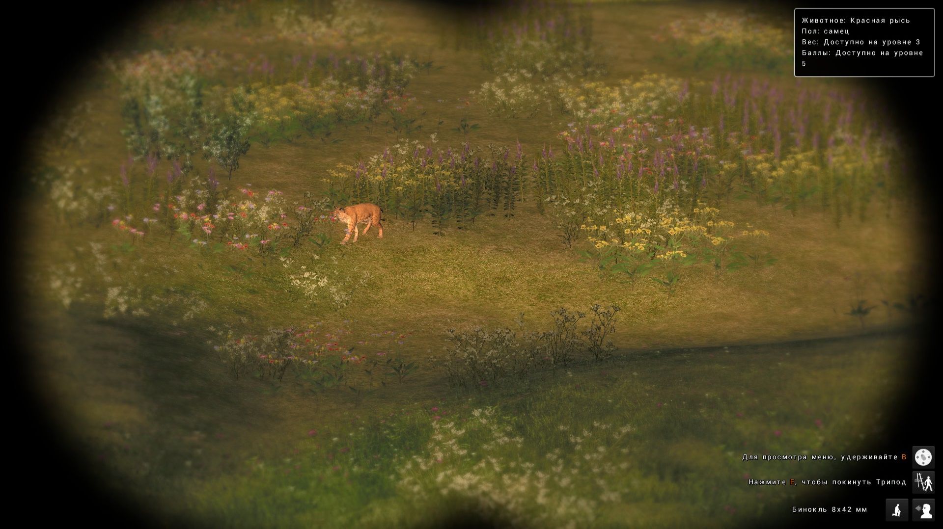 theHunter Classic - 2026-01-25 17-03-26